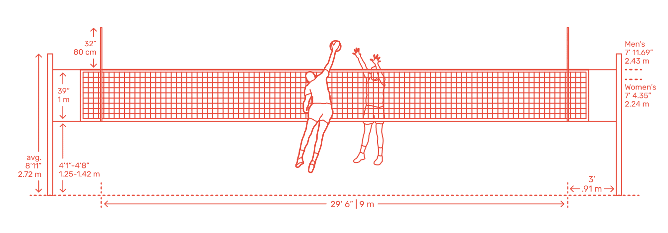 Volleyball Net Height: A Comprehensive Guide